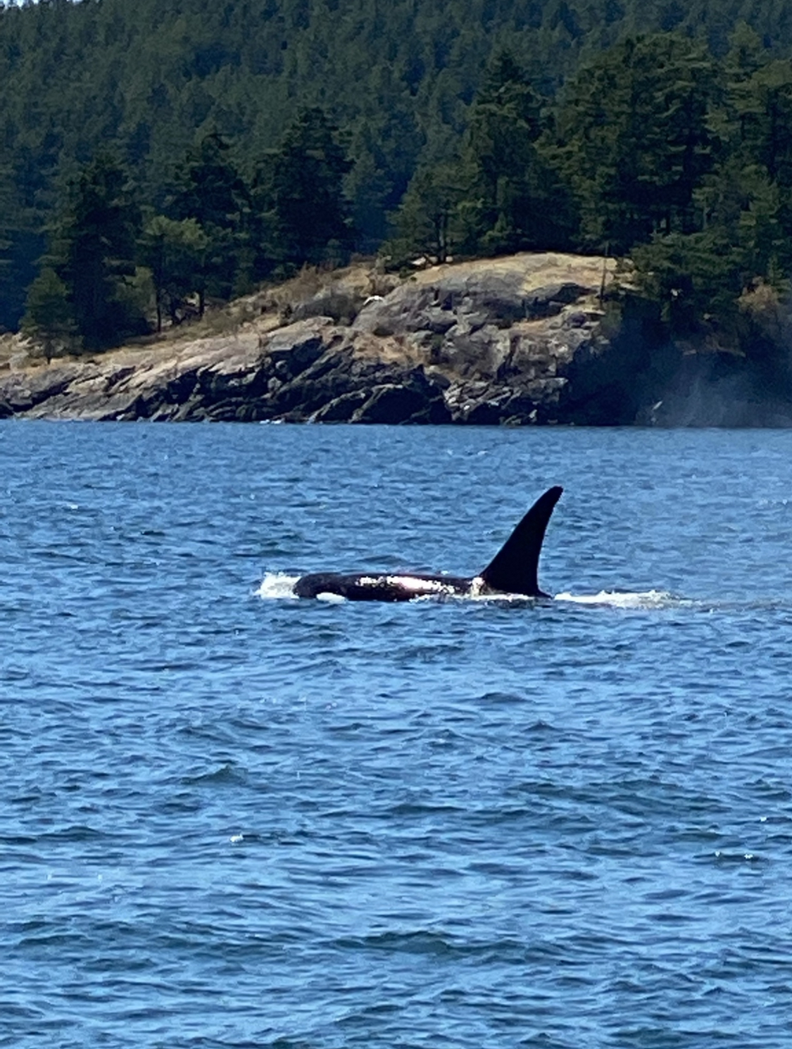 The Ultimate Orcas Island Adventure Itinerary | Miriam Explores and Hikes