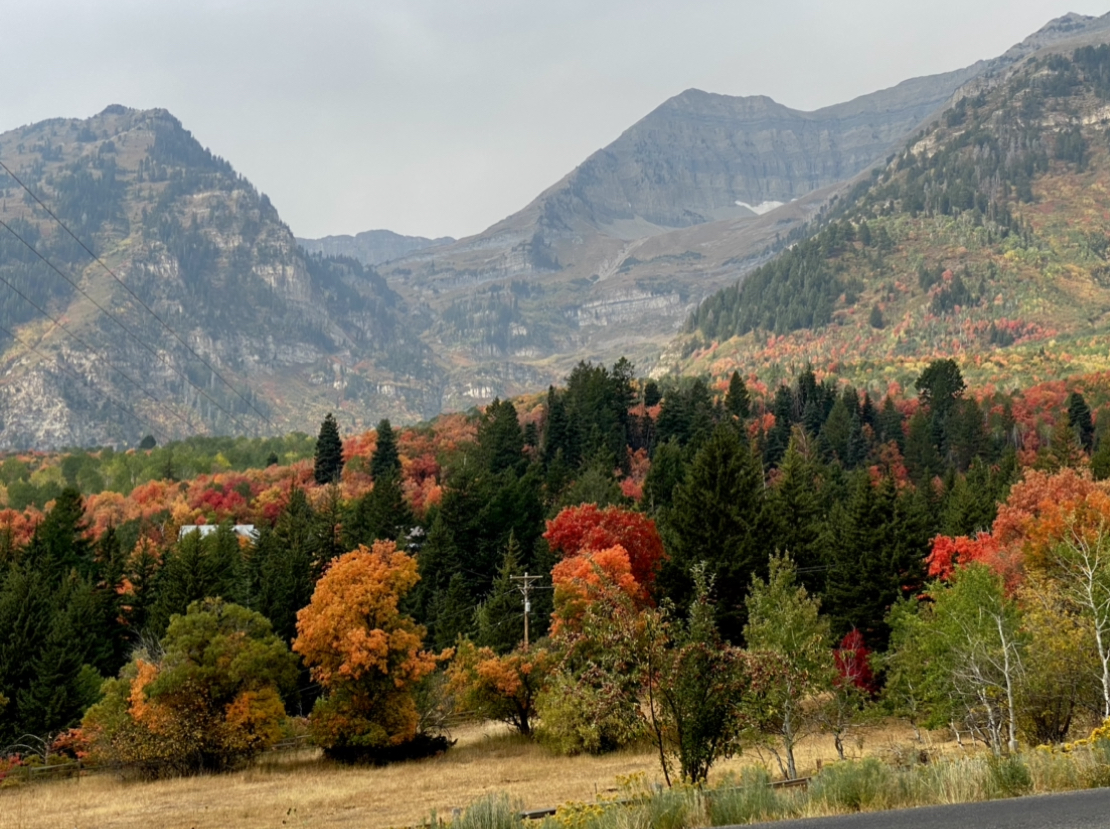 Fall Foliage | Miriam Explores and Hikes