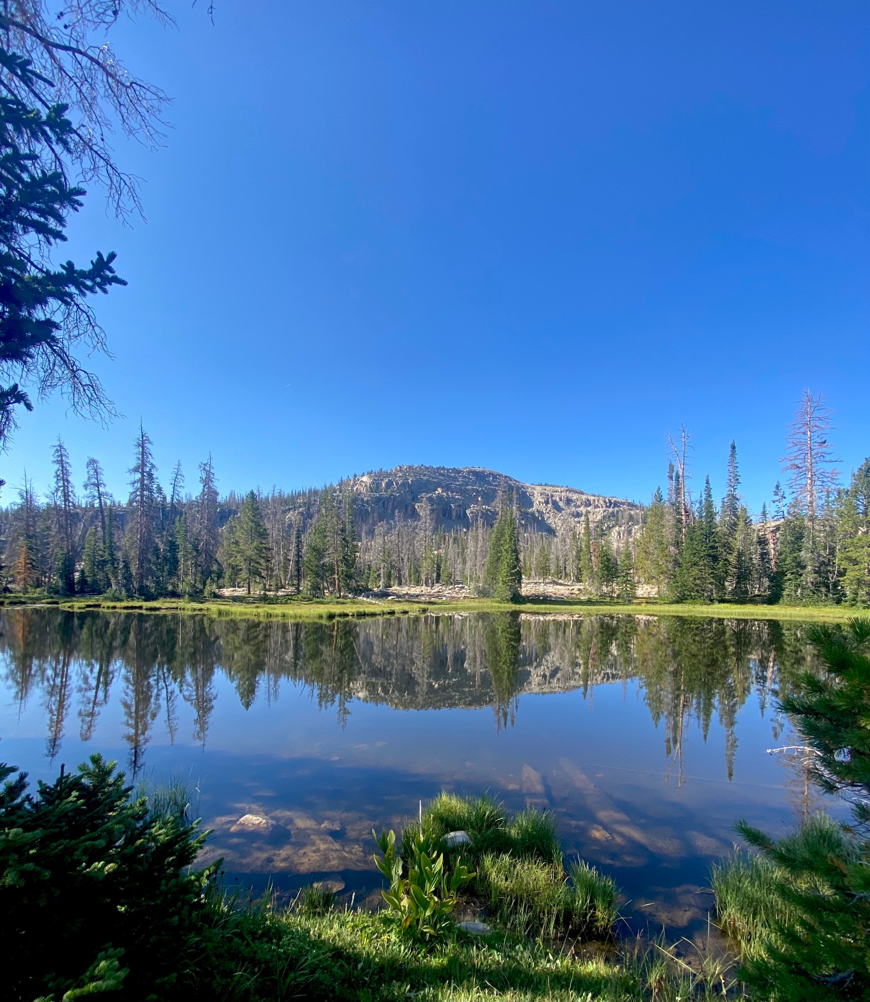 26 Best Utah Hikes for Kids | Miriam Explores and Hikes